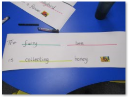 Priory Fields School - Term 5