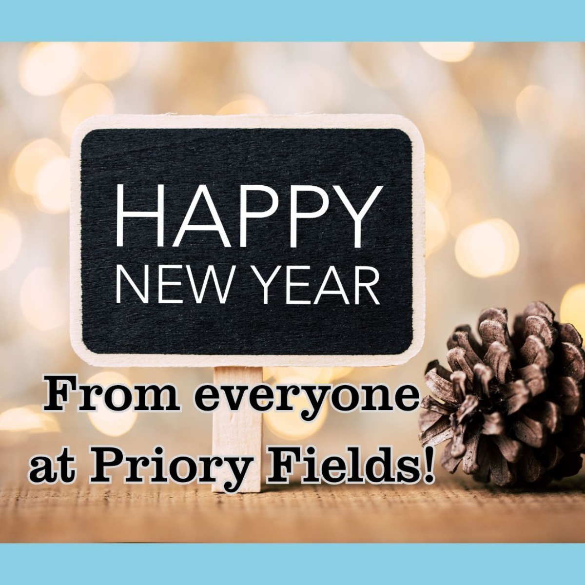 Priory Fields School - Happy New Year!